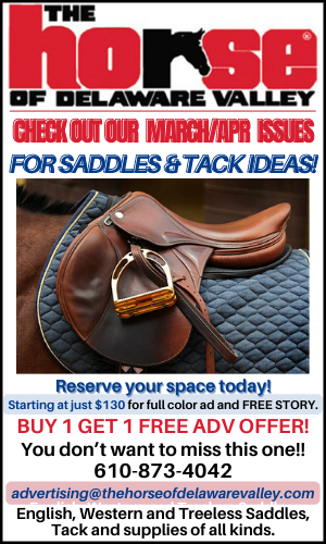 The Horse of Delaware Valley